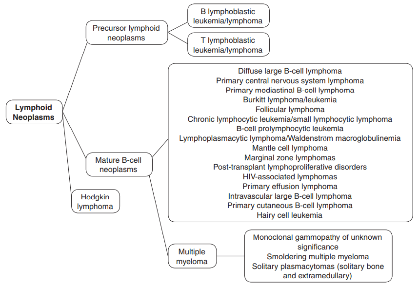 Liquid cancers: several rivers feed a dangerous sea – Trust in Science