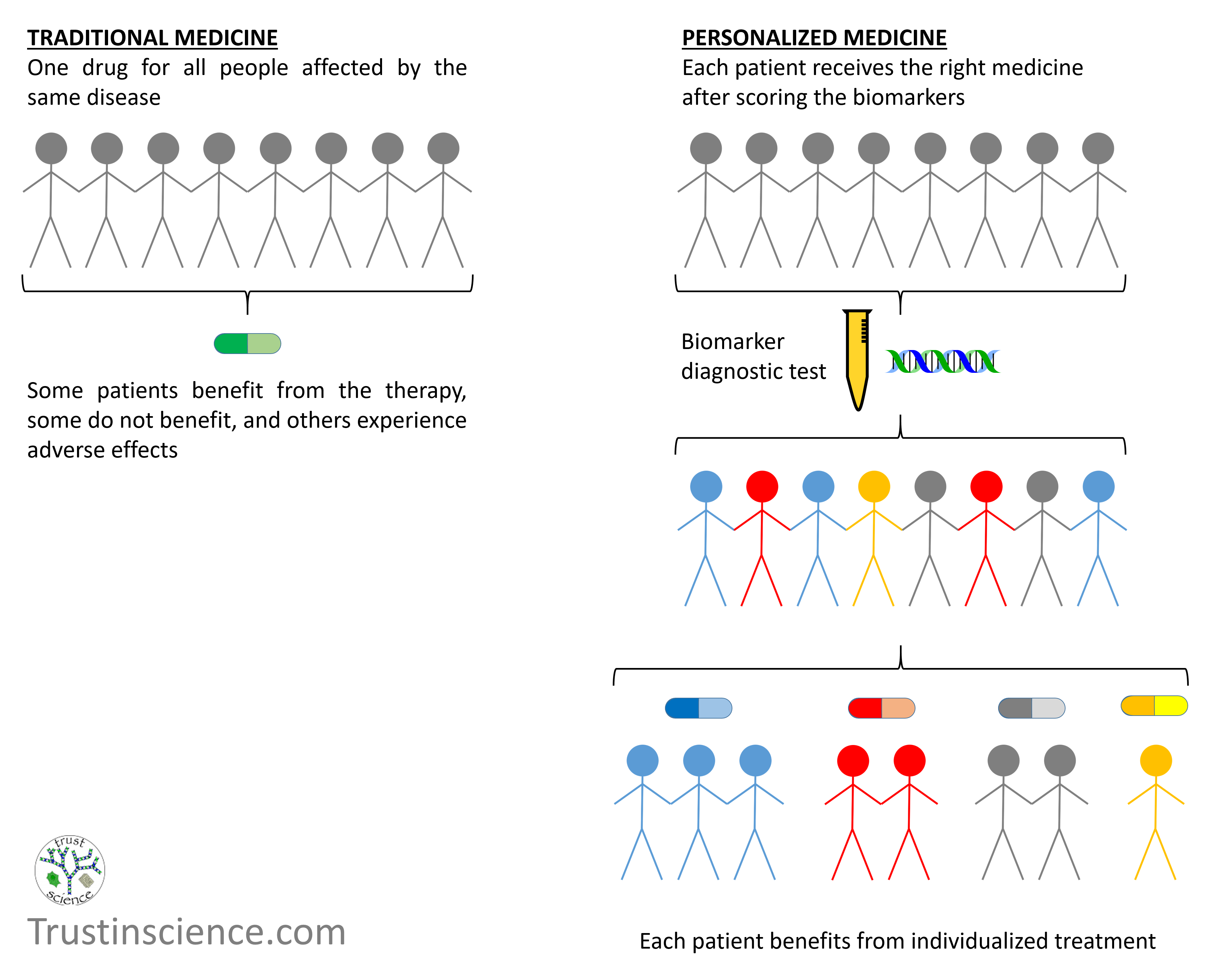 From disease-oriented to patient-oriented therapies: personalized ...